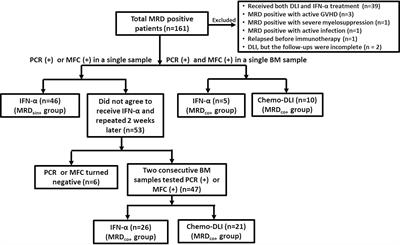 Frontiers | Preemptive Interferon-α Therapy Could Protect Against Relapse and Improve Survival ...